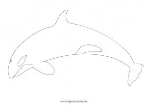 Orca da colorare - Disegni da colorare